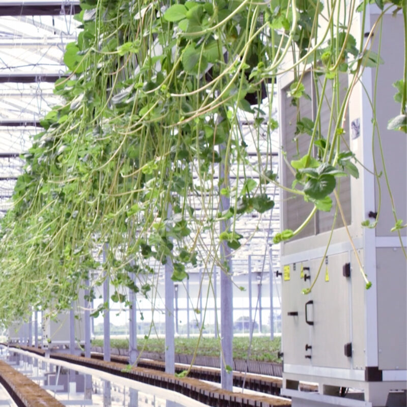 DG-12 EU Standard - Drygair Greenhouse Dehumidifiers for Commercial ...