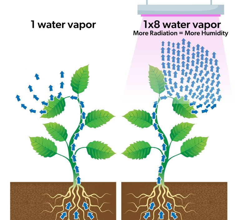 How Lights Affect Dehumidification Requirements - Greenhouse & Indoor ...