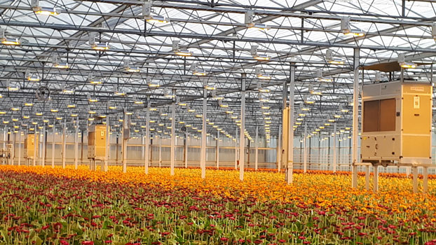 Limited Spots! Book Your Tour of Dutch Greenhouses with DryGair