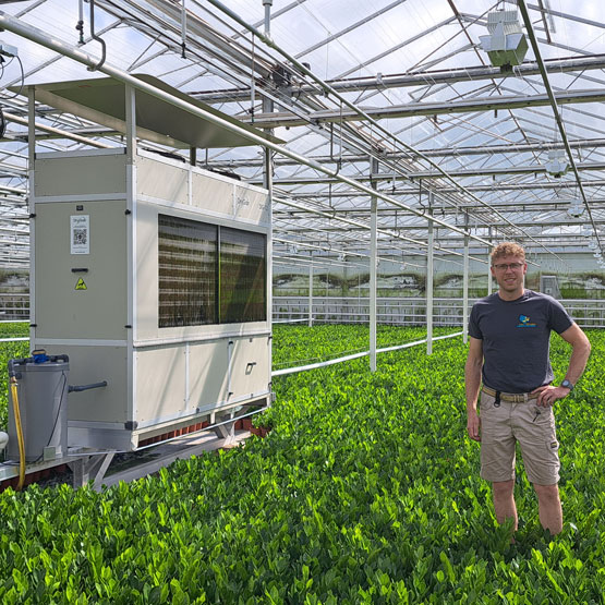 Van Winden Success Story with DryGair Greenhouse Dehumidifiers