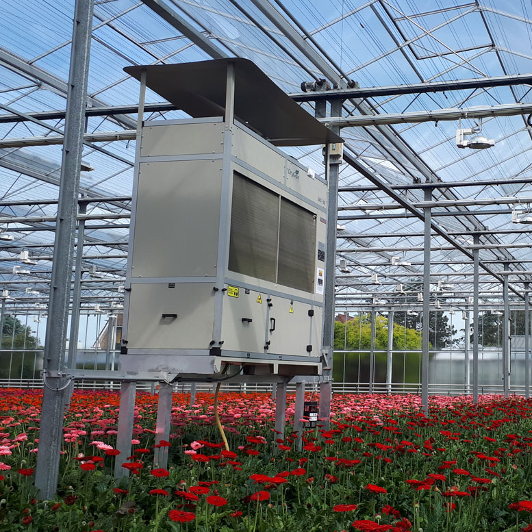 Optimal Humidity and Temperature for Greenhouse Growing - DryGair