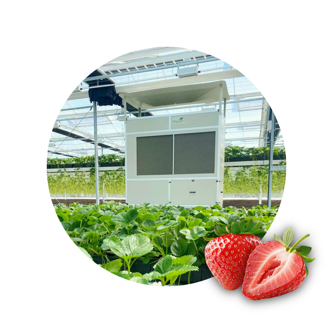 Defrost Coil - Low-Temperature Dehumidification